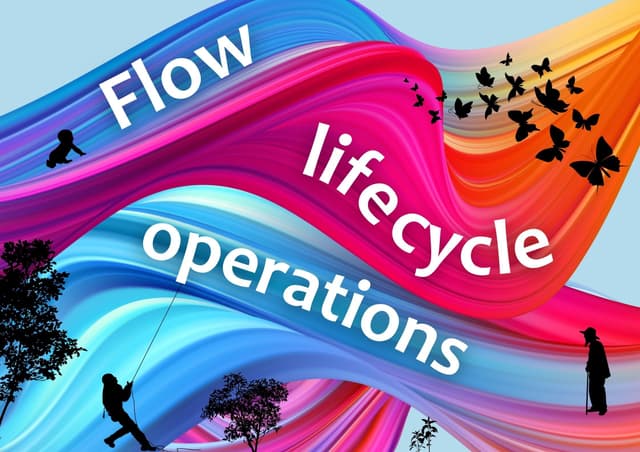 Flow lifecycle operations