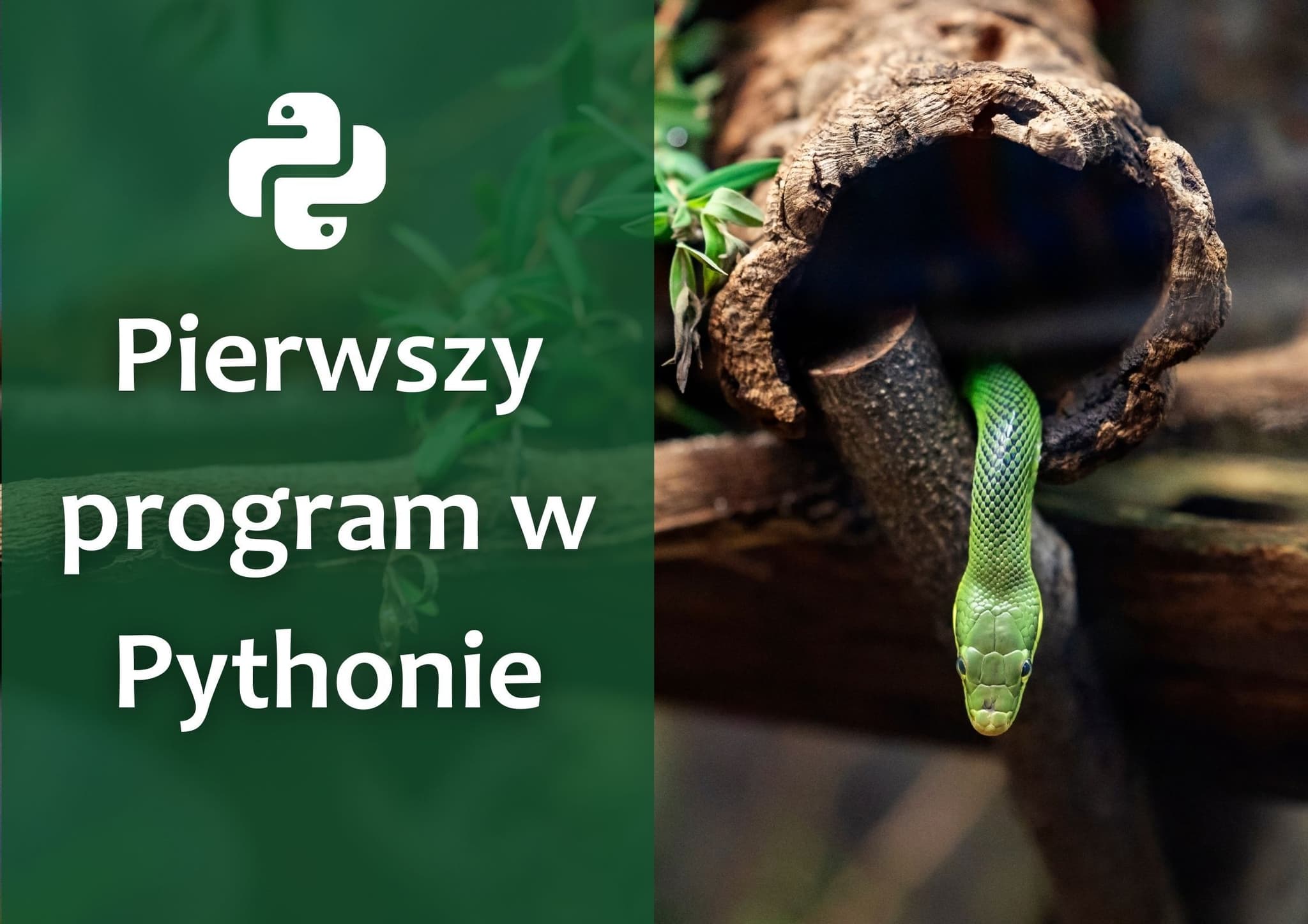 Pierwszy program w Pythonie